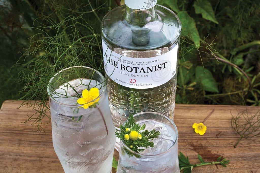7 of the Best Gin Distilleries in Scotland (2025 Guide)