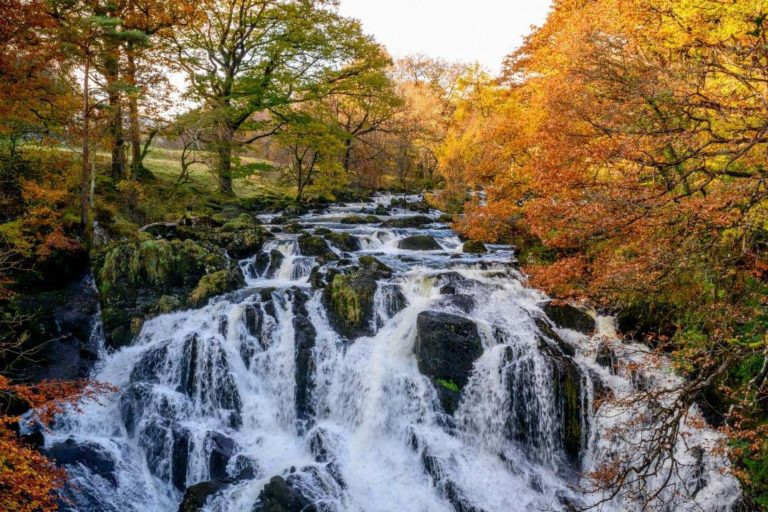 26 Fun Facts About Wales That Will Really Surprise You!