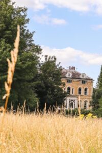 A Detailed Guide To The Chess Valley Walk (2025 Guide)