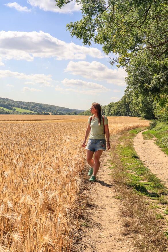 A Detailed Guide To The Chess Valley Walk (2025 Guide)