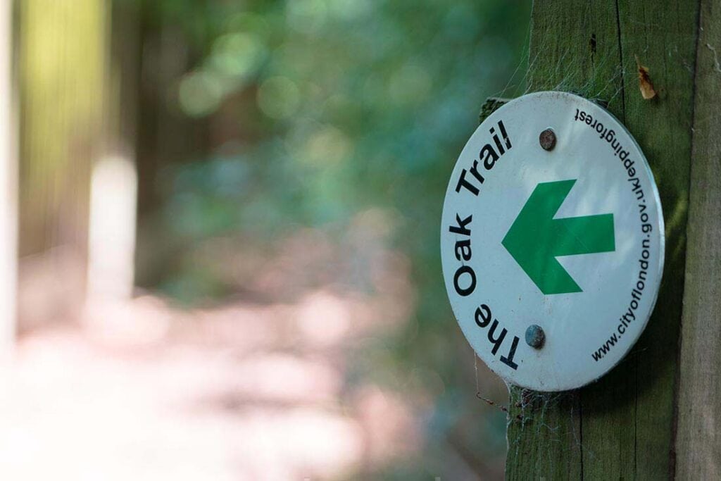 A Detailed Guide to the Epping Forest Oak Trail Walk (2025 Guide)