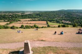 The Definitive Guide to the Box Hill Hike, England (2022 Guide)