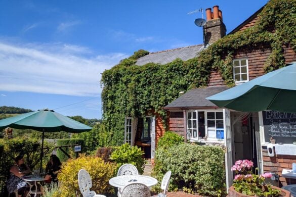 The Definitive Guide to the Box Hill Hike, England (2022 Guide)