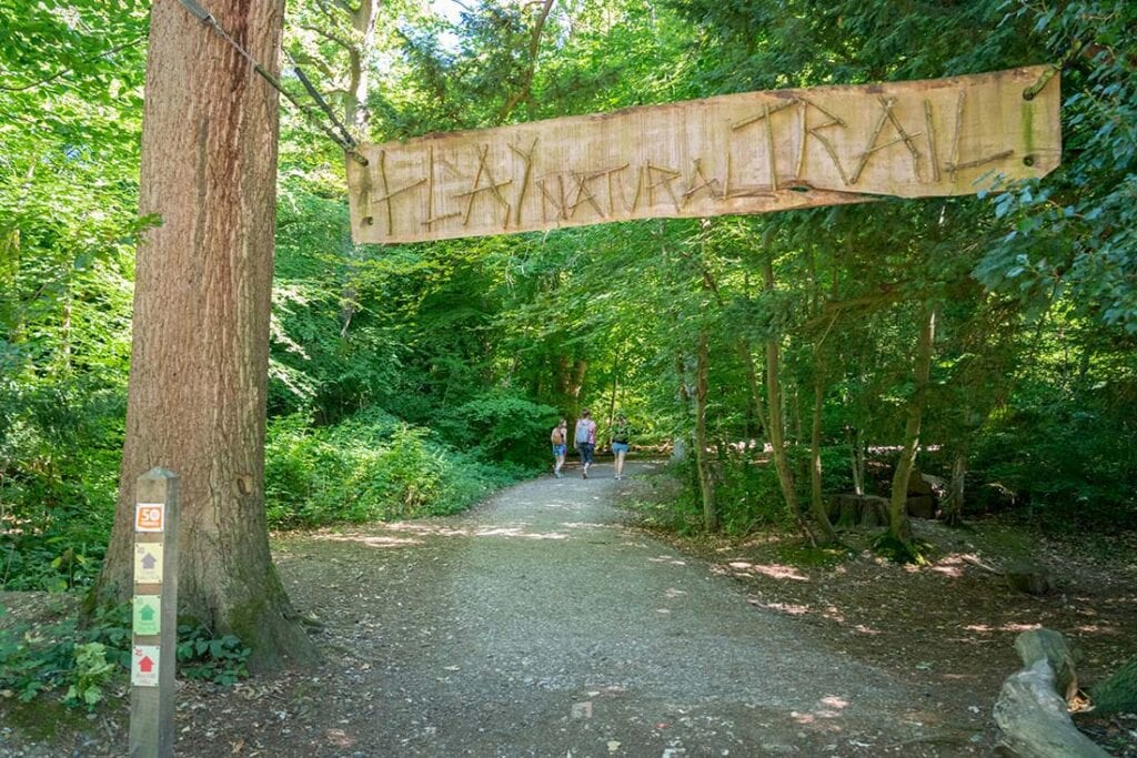 The Definitive Guide to the Box Hill Hike, England (2022 Guide)