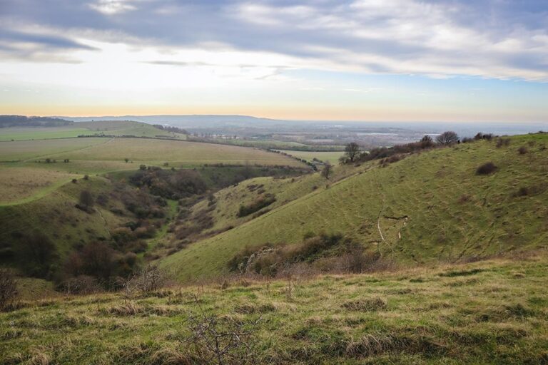 A Detailed Guide to the Ivinghoe Beacon Walk, Buckinghamshire (2025)