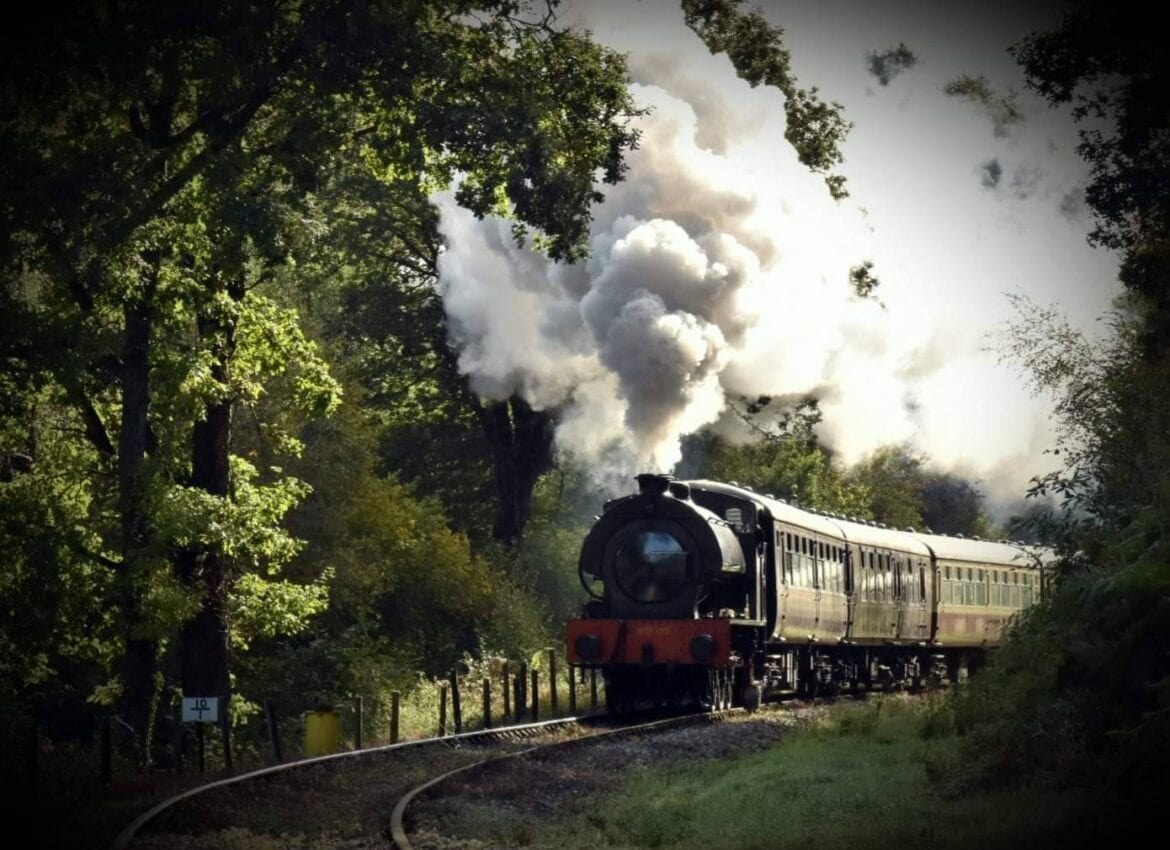 8 Amazing Things To Do In The Forest of Dean (2023 Guide)