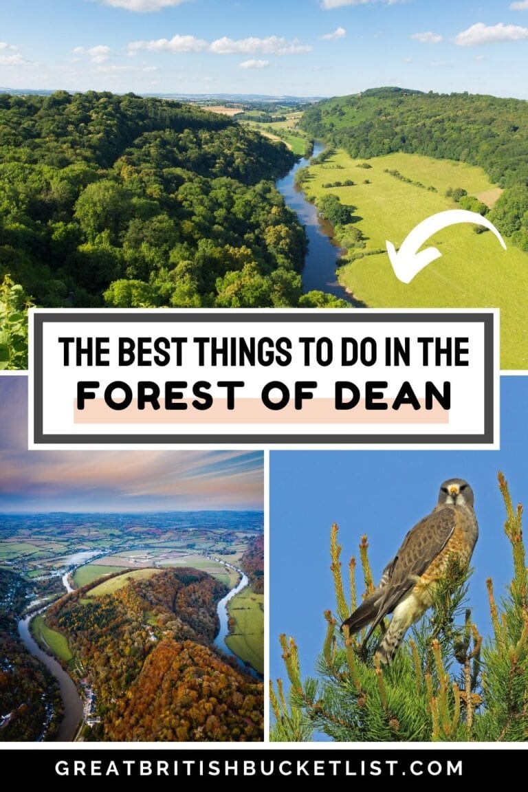 8 Amazing Things To Do In The Forest of Dean (2023 Guide)
