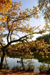 8 BEST Walks Near Liverpool, England (2025 Guide)