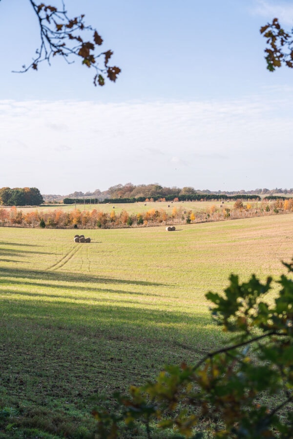 Detailed Guide To The Henley Circular Walk (2025 Guide)