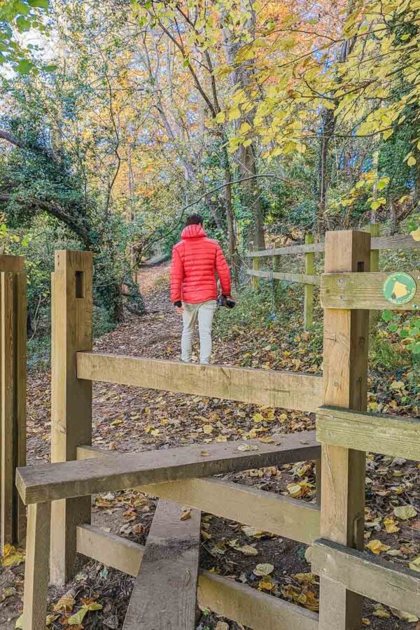 Detailed Guide To The Henley Circular Walk (2026 Guide)