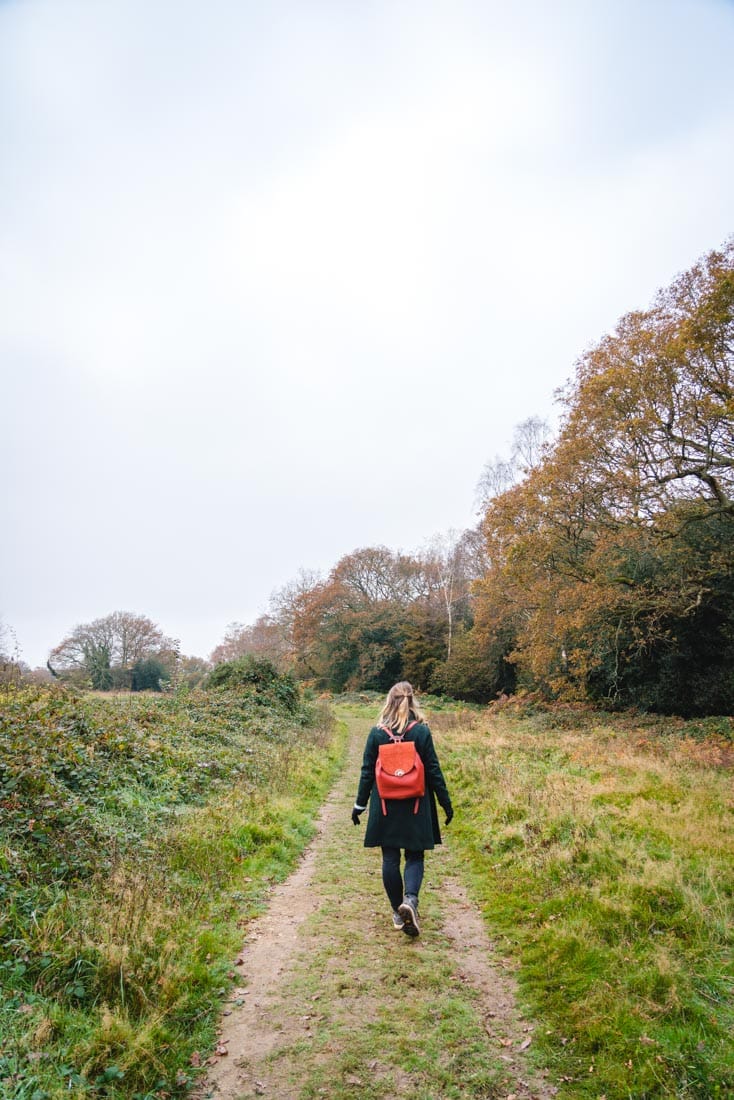 A Detailed Guide to the Polesden Lacey Walk, Surrey (2025 Guide)