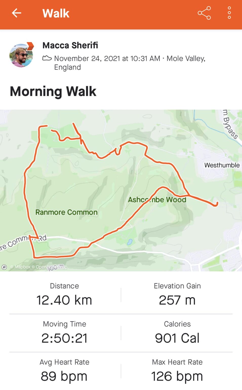 A Detailed Guide to the Polesden Lacey Walk, Surrey (2025 Guide)