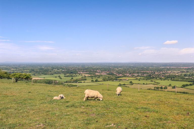The Ultimate Guide to the Ditchling Beacon Walk (2026 Guide)