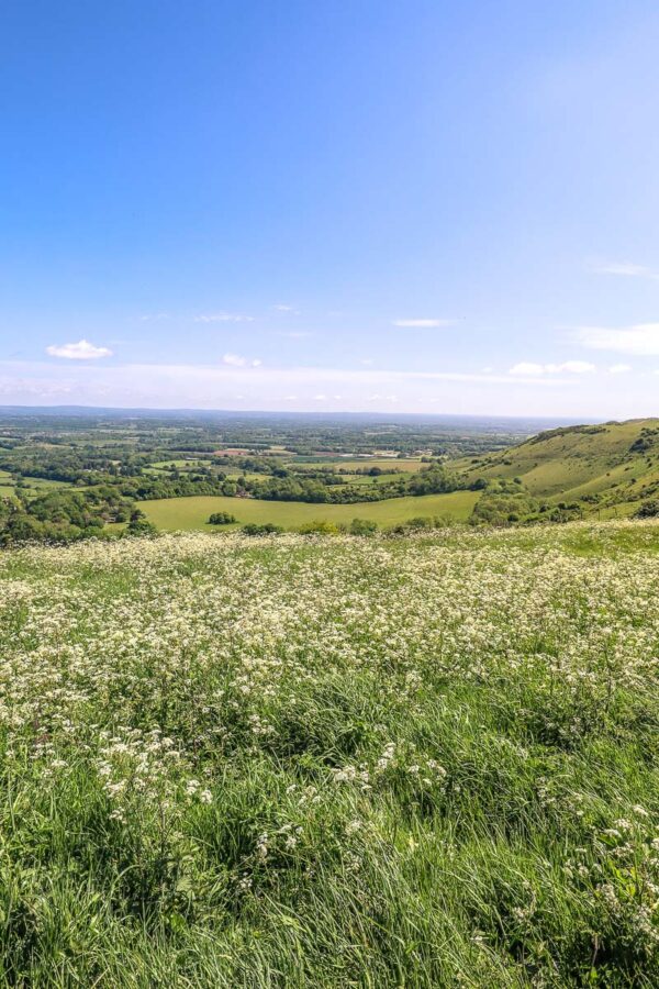 The Ultimate Guide to the Ditchling Beacon Walk (2026 Guide)
