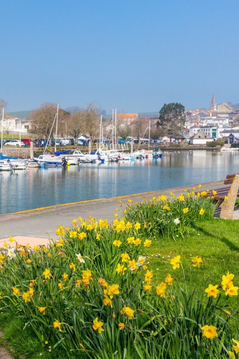 13 Fun Things to Do in Salcombe, Devon (2023 Guide)