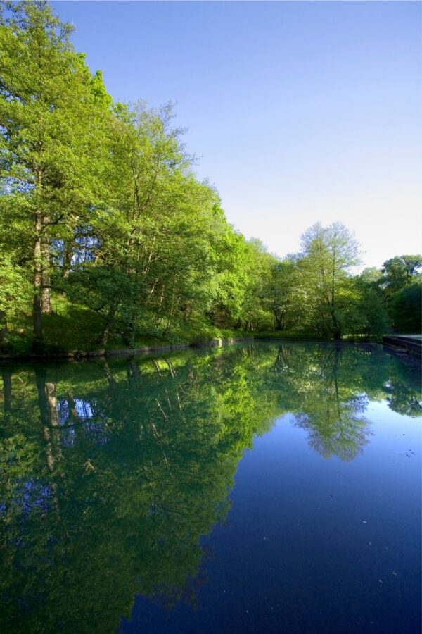 13 Biggest Forests in England You Need to Visit (2025 Guide)