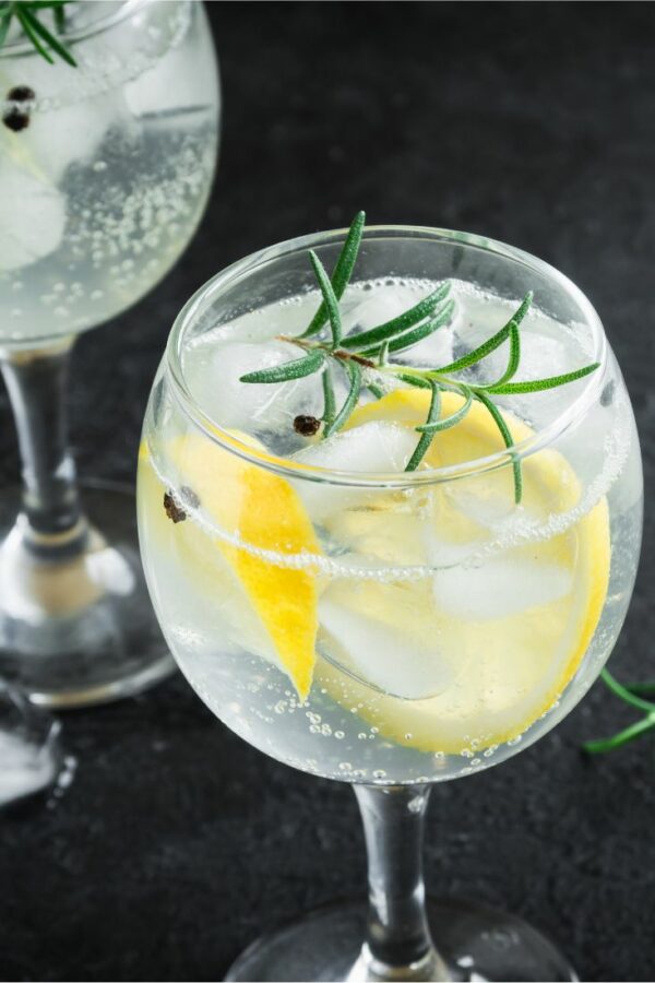 13 BEST Scottish Gins Everyone Should Try
