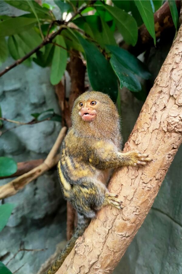 13 BEST Day Trips from Oxford, England: 2025 Guide