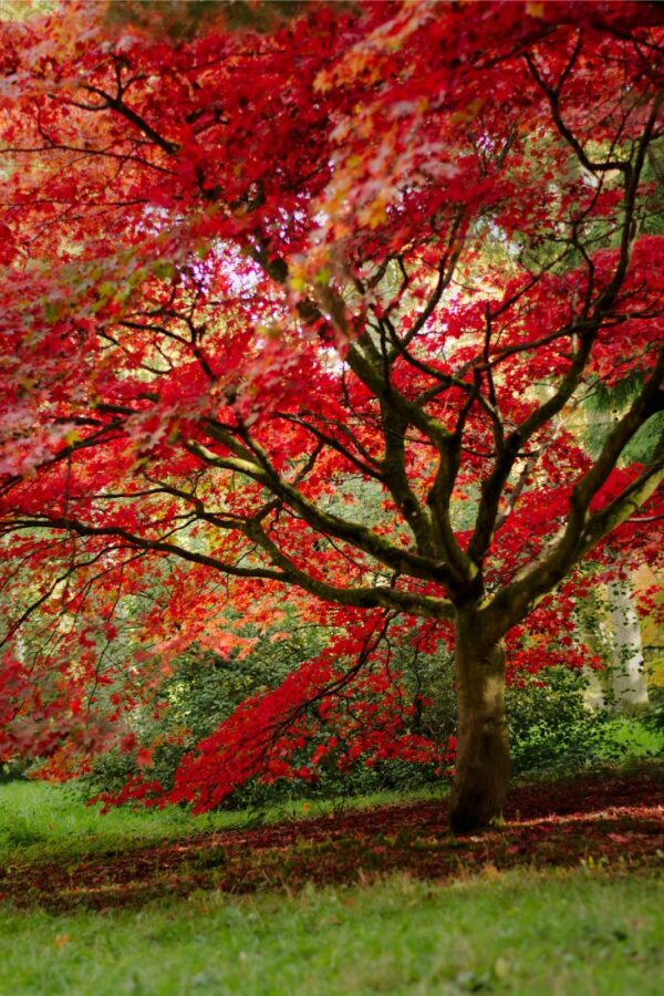 13 BEST Things to do in England in Autumn (2024 Guide)