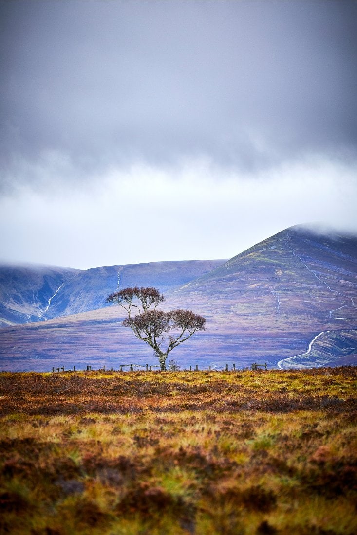 13 BEST Things to do in Scotland in Autumn (2025 Guide)