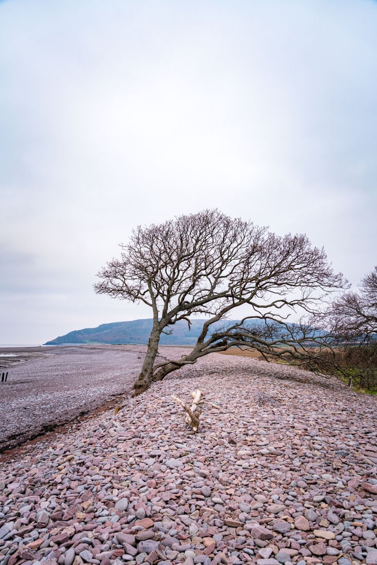 Porlock to Porlock Weir Walk: Step by Step Guide (2024 Update)